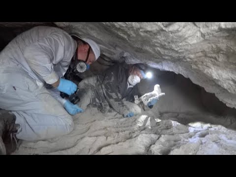 TODO SOBRE LAS MOMIAS DE NAZCA, HOY LIVE | Paranormal | Before It's News