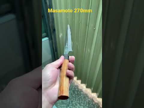 Yanagiba masamoto 270mm