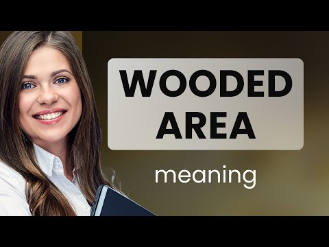 Exploring Nature's Vocabulary: Understanding "Wooded Area"