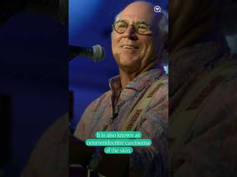 Jimmy Buffett Dies From Merkel Cell Carcinom What You Should Know About The Disease Part 1 #Shar