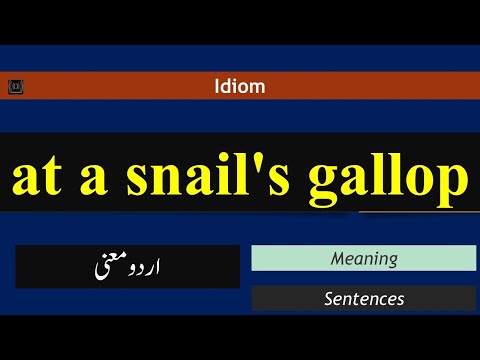 | Idiom | at a snail's gallop | Meaning in Urdu | Meaning in English | English vocabulary |