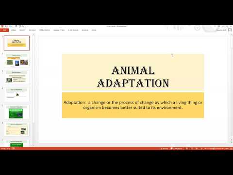Behavioral Adaptations