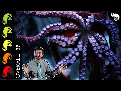 Octopus, The Best Pet Cephalopod?