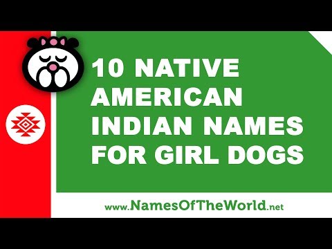 10 native american indian names for girl dogs - the best pet names - www.namesoftheworld.net