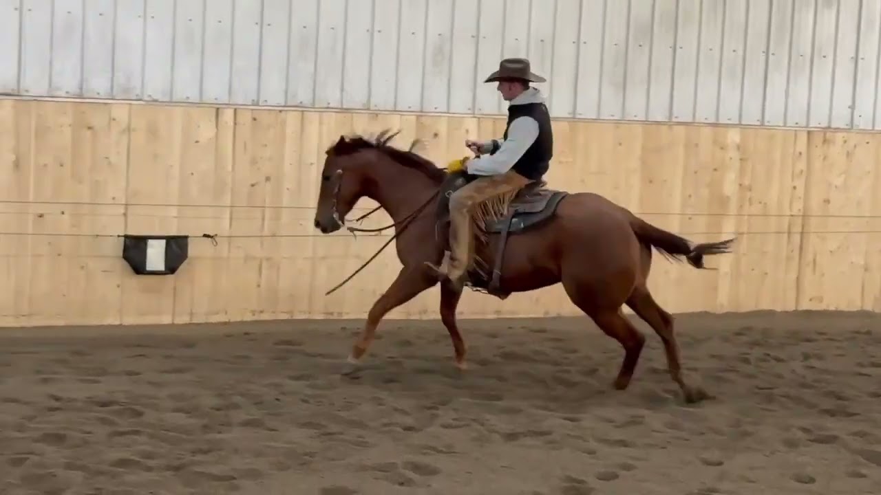 e6bc2b35 3dd3 4b61 b78d e3c4f4dcd7af