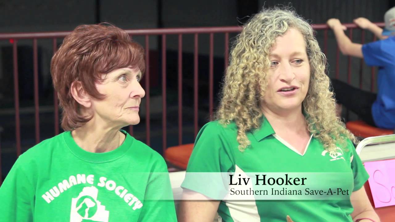 Rover Rescue  - How Rescue Works