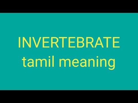 INVERTEBRATE tamil meaning/sasikumar
