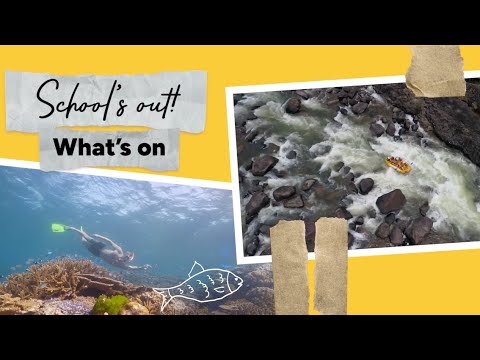 Spring School Holidays in Tropical North Queensland - best things to do - Experience Oz