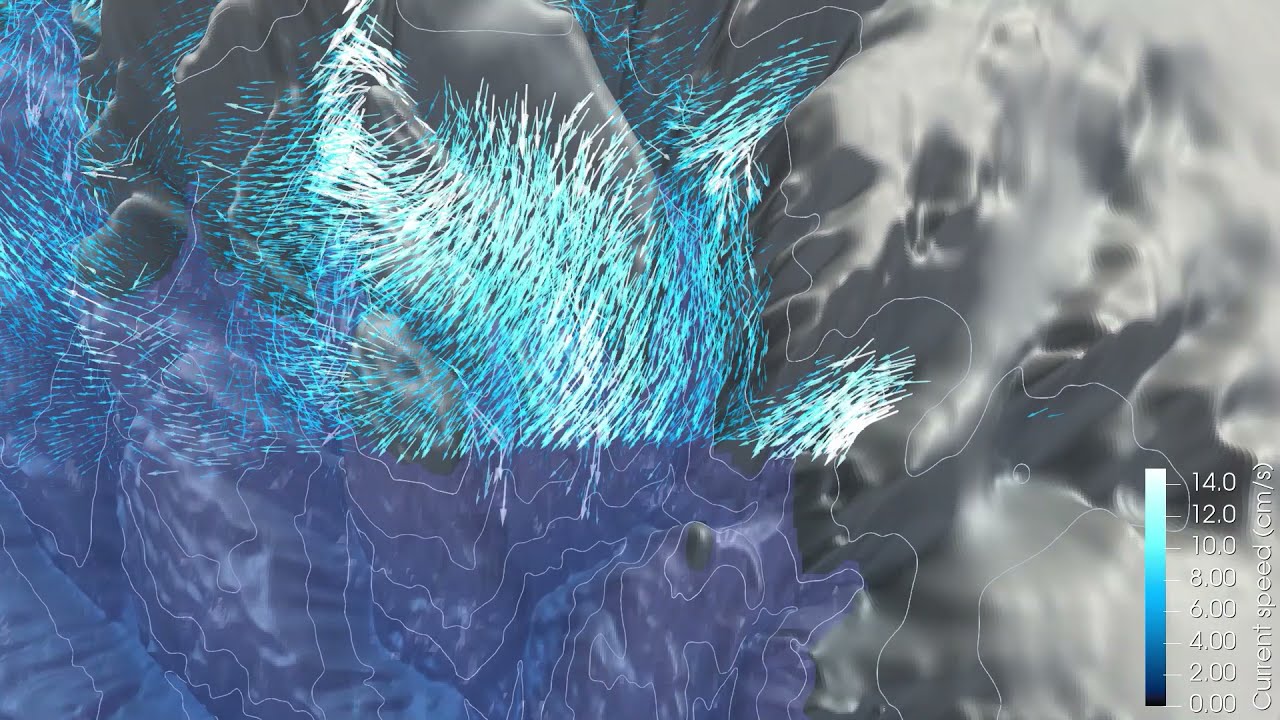 Whittard canyon internal tides visualisation in Paraview