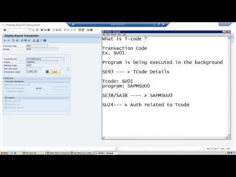 SAP Security FAQ 2: What is T-code in SAP ?