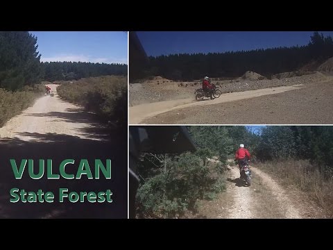 Vulcan State Forest | NSW Trail Rider