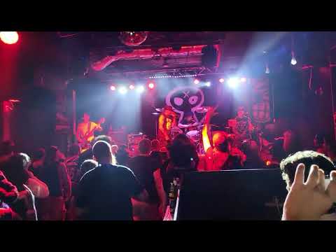 HED PE Live @ Dingbatz, Clifton, NJ - STONEY SUMMER TOUR 2023