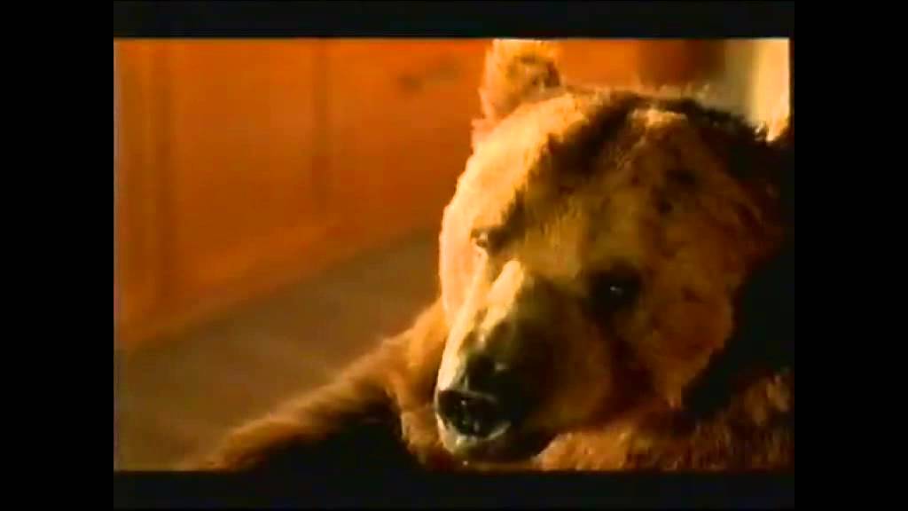 Kellogg's Corn Flakes - Bear (2001)