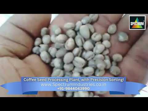 Coffee Bean Sorting Machine - Coffee Grading Machine Latest Price ...