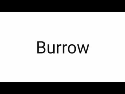 How to pronounce Burrow?