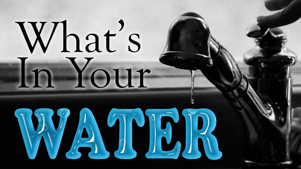 Safe Home Water testing kit Review