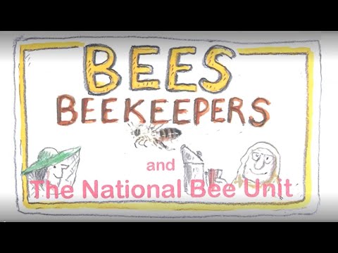 Bees, Beekeepers and the National Bee Unit.
