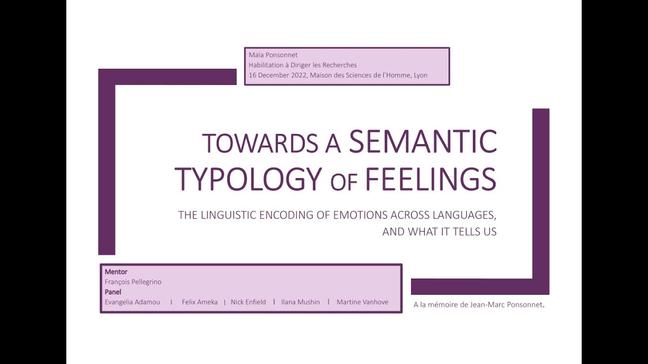 Exploring the Linguistic Encoding of Emotions: A Semantic Typology of ...