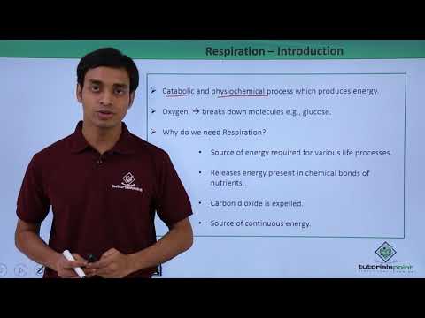 Class 11th – Respiration - Introduction | Breathing and Exchange of Gases | Tutorials Point