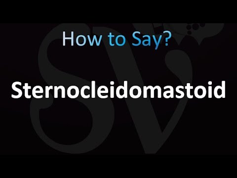 How to Pronounce Sternocleidomastoid (correctly!)