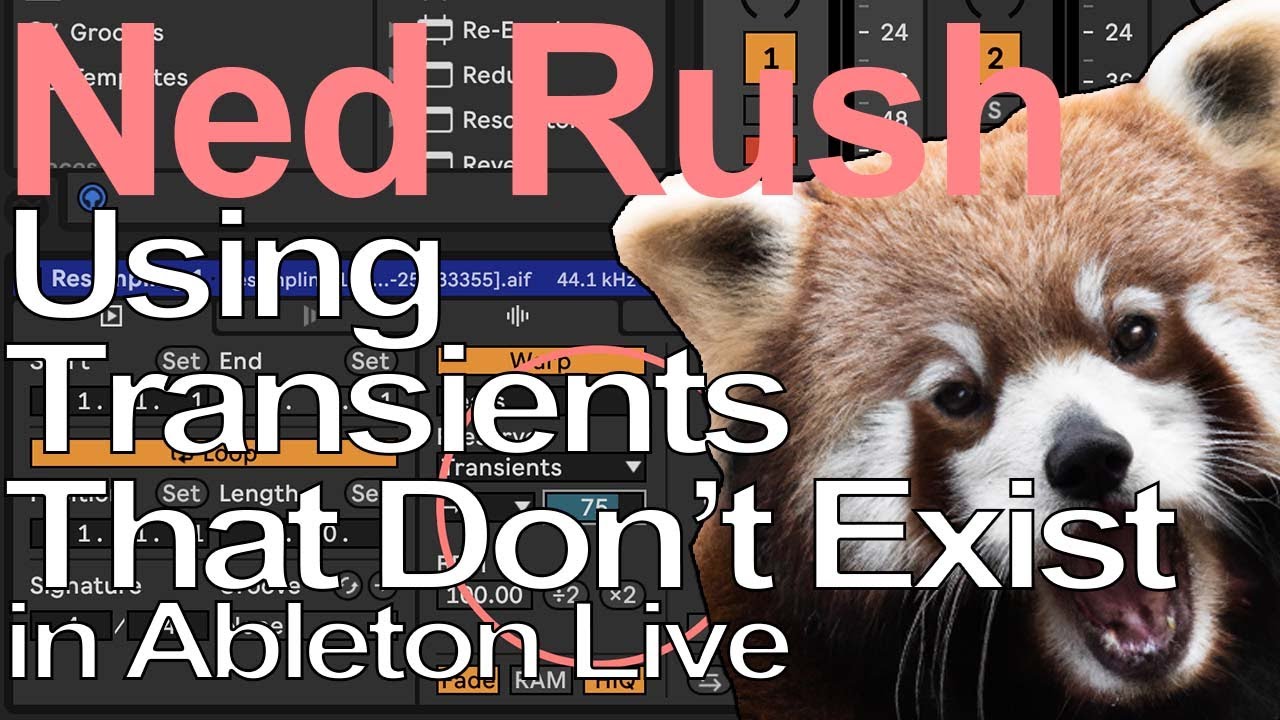 Ableton Tutorial - Beats Warp Sound Design = Ned Rush