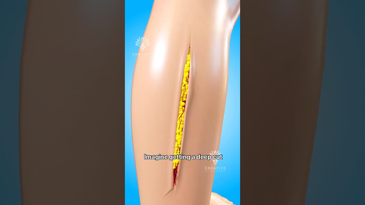 Self-Healing Skin like Hydrogel Repairs Wounds in Hours! #short #hydrogel - Creativelearning3d