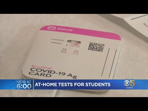 COVID: Marin Students Part Of Massive At-Home Test Experiment To Prevent Holiday Surge