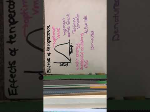 Effects of Temperature on enzyme activity