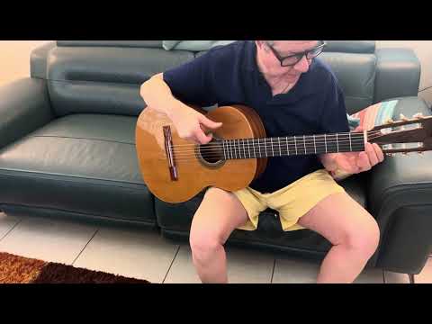 RARE 1985 DI GIORGIO ROMEO 3 Professional Series Brz Rosewood | Reverb