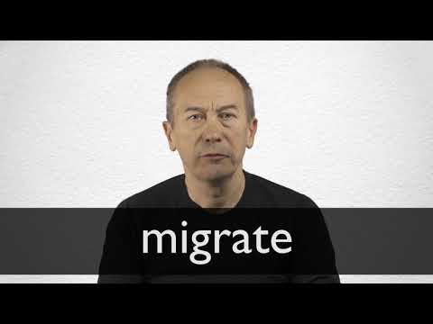 MIGRATE definition and meaning | Collins English Dictionary