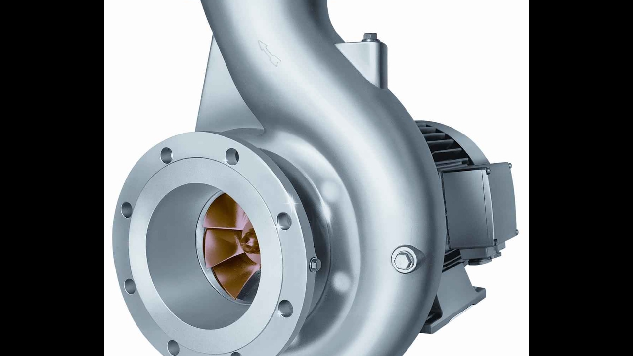 selection criteria for pump and motor