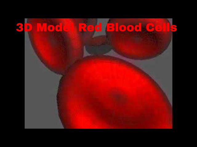 Red Blood Cell 3D Model on Flatpyramid