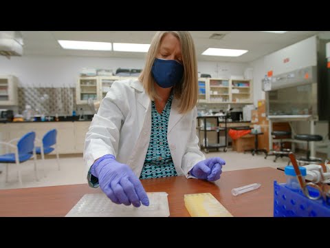 The Stress Science Laboratory