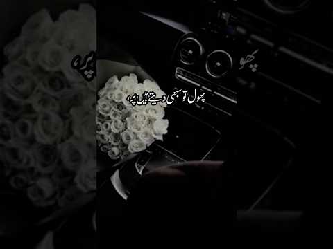 Jannat Ke Pattay || Nimra Ahmed novel || #urdunovel #shortvideo #love