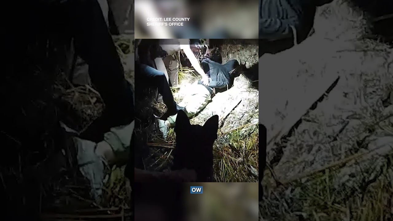 3 Florida Teens Arrested Following Smoke Shop Burglary in Stolen Car