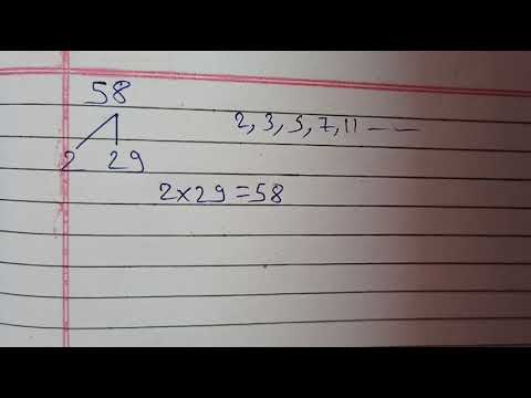factor tree of 58