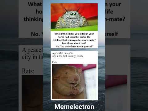 Rat go brrr🤣 || #memesdaily #memesoftheday
