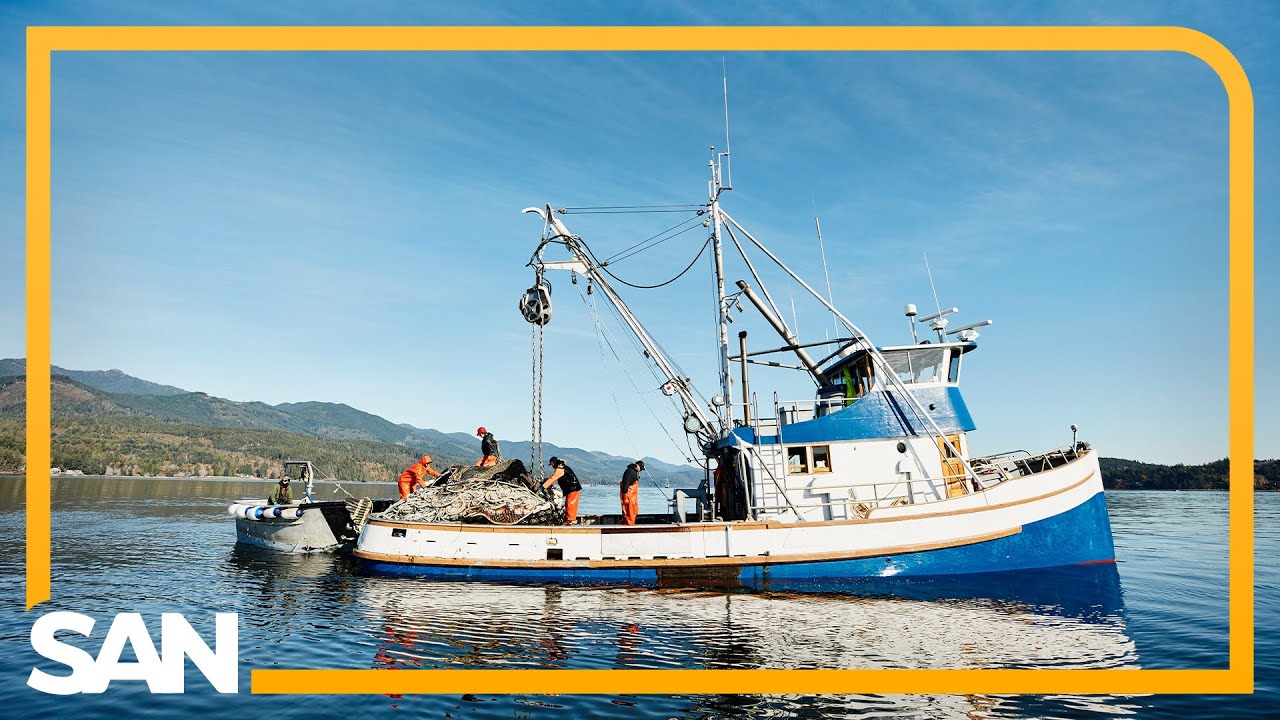 Trump EOs aim to boost US fishing by easing rules, opening marine reserves