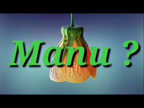 Manu Name Status | Manu Name Meaning | Manu Name WhatsApp Status | Magic of Name