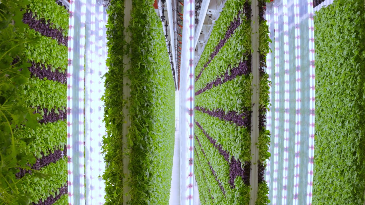 Plenty gets $20M grant to build world’s largest vertical farming ...