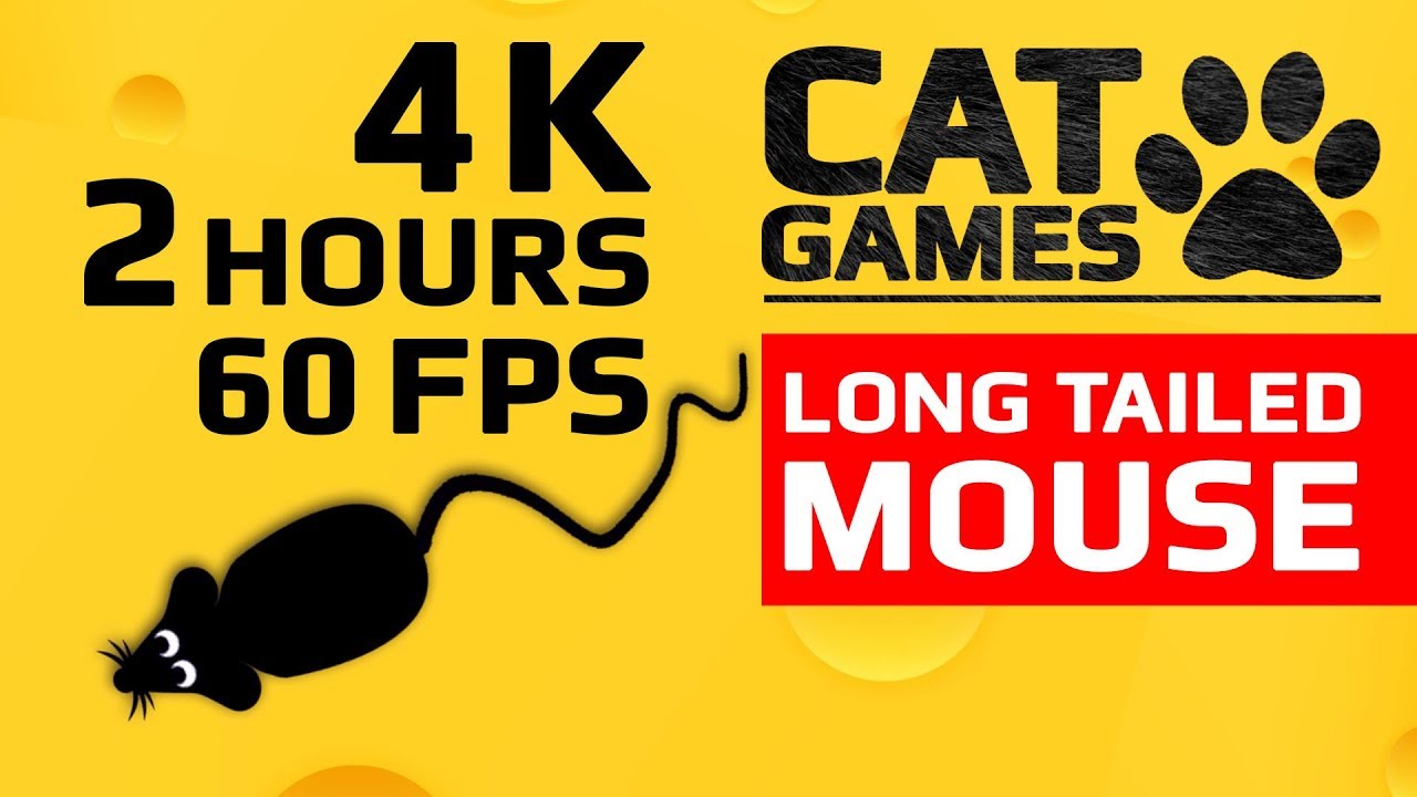 CAT GAMES - 🐭 LONG TAILED MOUSE (ENTERTAINMENT VIDEO FOR CATS TO WATCH) 4K 60FPS 2 HOURS