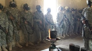 Cavalry Scout Overview | What is a cavalry scout? - Zippia