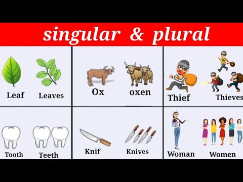 Singular and plural words English to Telugu, singular & plural words English to Telugu.
