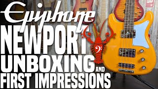 Epiphone Newport Bass - What To Know & Where To Buy | Equipboard