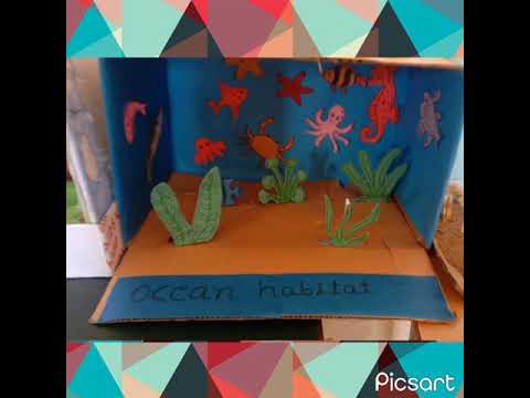 ocean habitat project class 4
