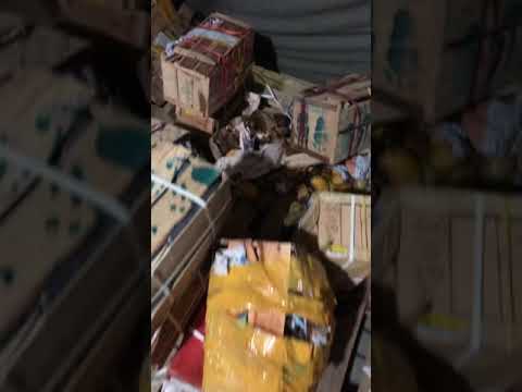 Daewoo Mango Cargo service in season