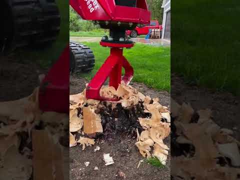 Fecon STUMPEX® Skid Steer Stump Grinder Attachment #shorts #stumpgrinder