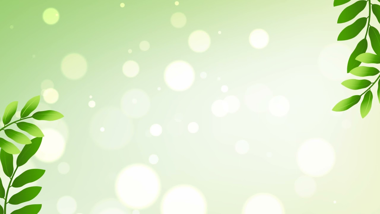 Free Green Leaf Animated Background | HD & 4K Quality for your project