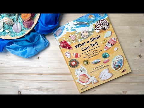 What A Shell Can Tell | Book Flip Through