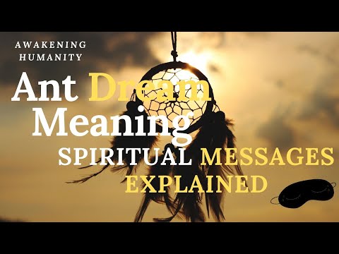 Ant Dream Meaning & Spiritual Messages Explained